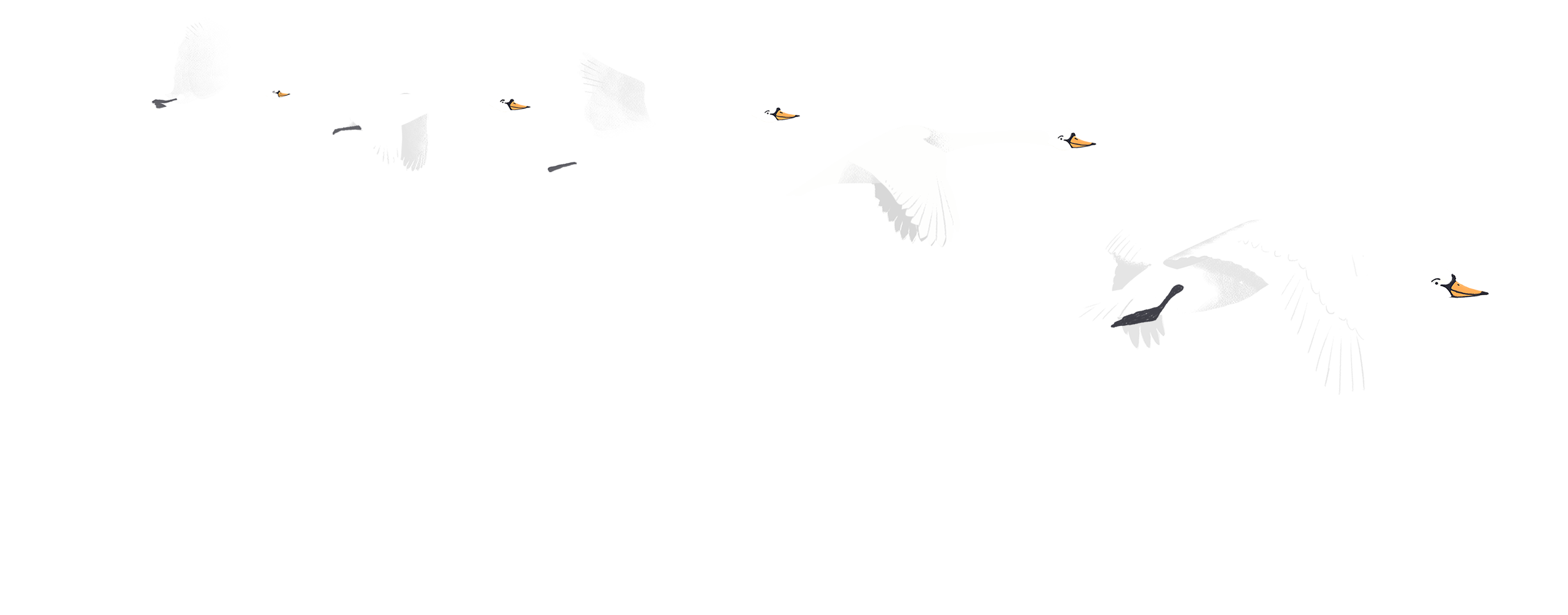 Svanurinn – Norræna umhverfismerkið